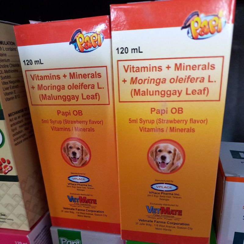 Papi OB Syrup Multivitamins 120ML | Shopee Philippines