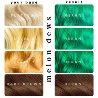 Herani Color Shampoo (200ml) | Shopee Philippines