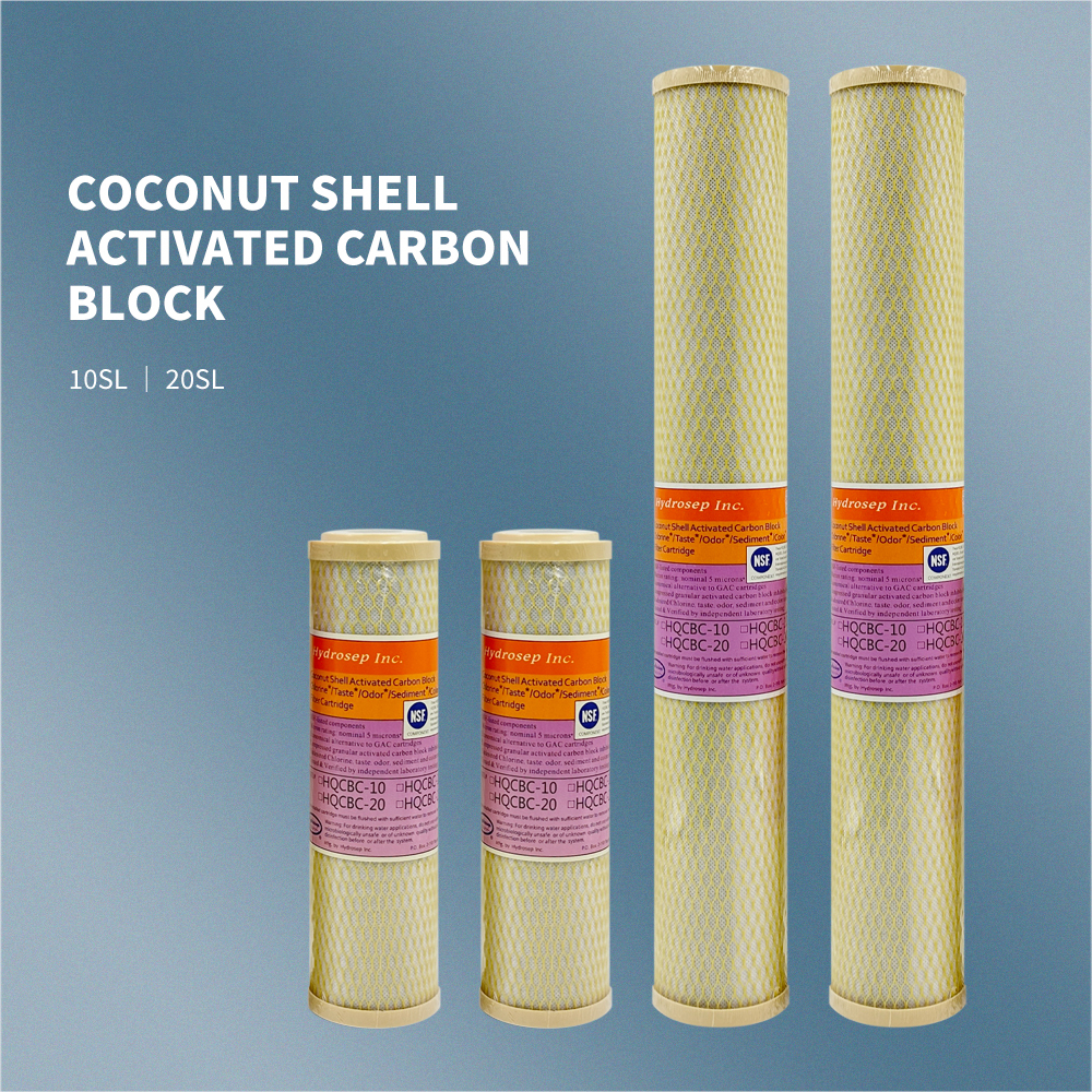 Activated Carbon Filtration Filter Block CTO 20” Slim | Shopee Philippines