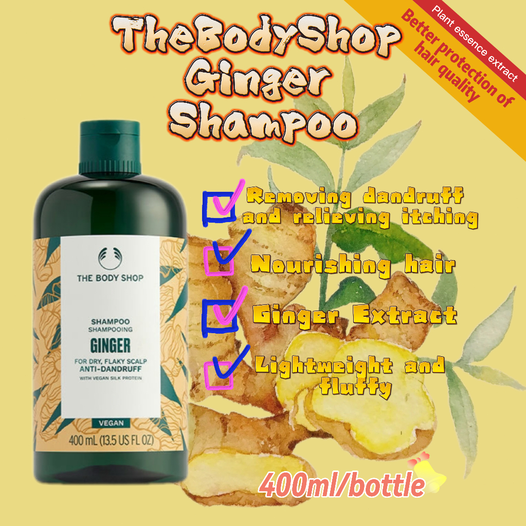 Ginger Anti-dandruff Shampoo Hair Grower Shampoo Man / Woman Anti Hair Loss Scalp Care 400ml ...