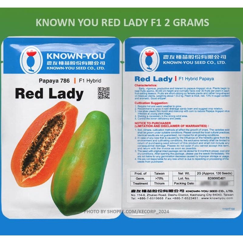 Red Lady Papaya F1 Hybrid Seeds by Known You 100 to 150 seeds (2g) Larger Pack_kc241207 | Shopee ...