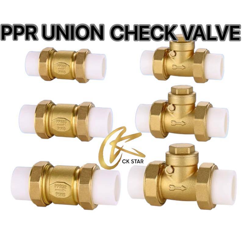 PPR Brass Union Swing valve ,check valve Spring Vertical Pump Valves ...