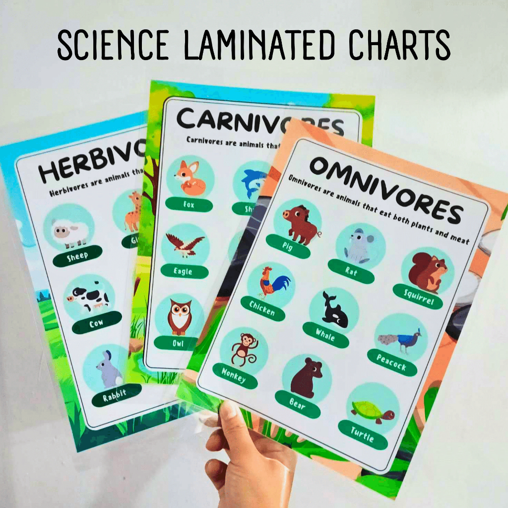 Science Laminated Educational Learning Charts (A4 size/photo paper ...