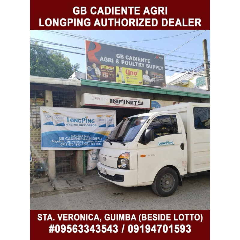 3kg LongPing 2096 | 937 | 534 | 908 Hybrid Rice Seed | Guaranteed ...