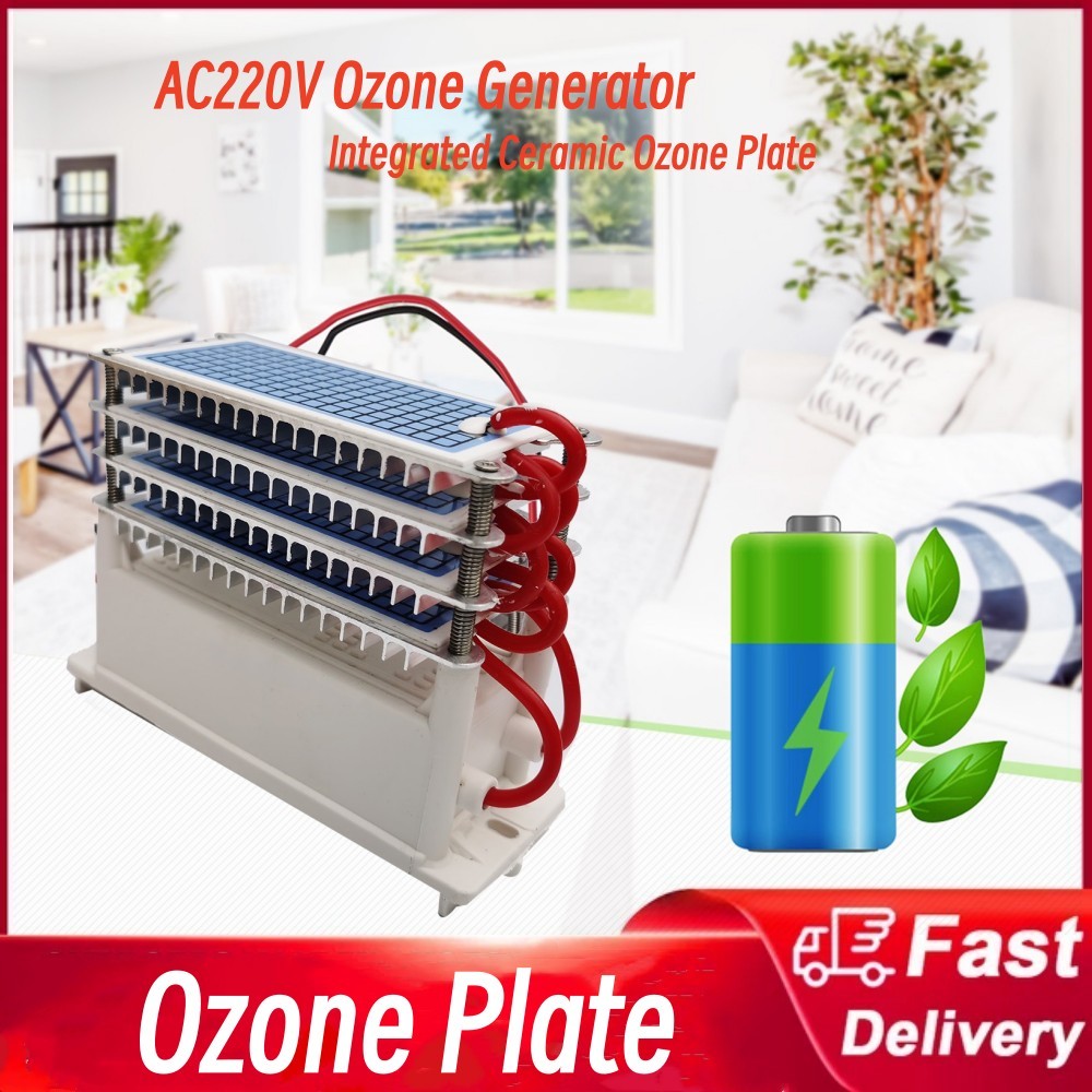 Ready Stock 40g/h AC 220V Portable Ozone Generator Integrated Ceramic ...
