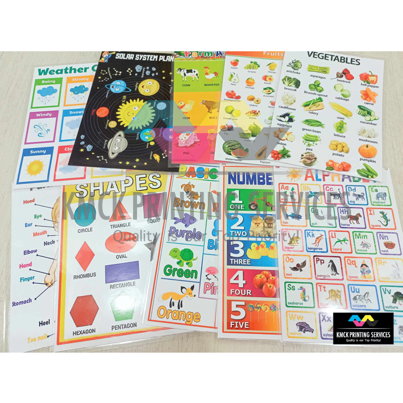 10 pcs Educational Charts A4 SIZE LAMINATED BUNDLE | Shopee Philippines