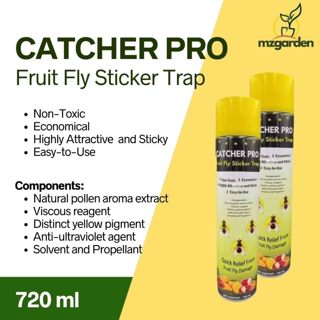 S&P Catcher Pro 720ml Fruit Fly Sticker Trap | Shopee Philippines