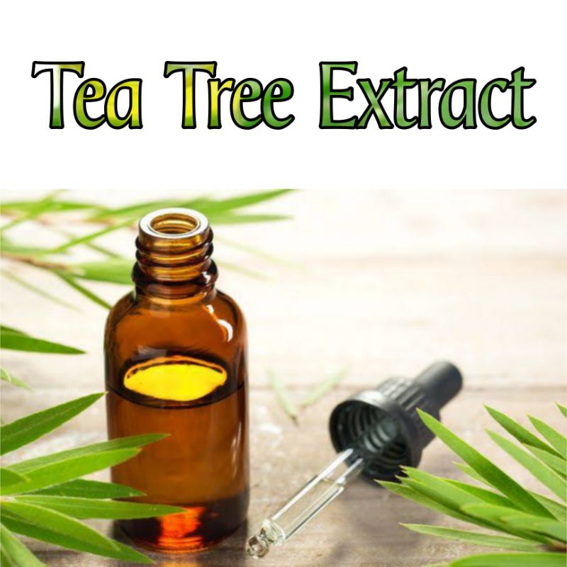 Tea Tree Extract (Oil Soluble) | Shopee Philippines