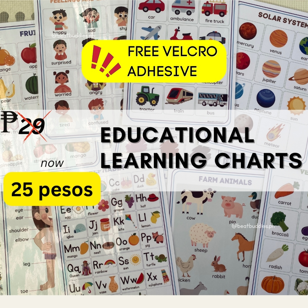 Best Wall Chart with FREE Velcro for Kids Educational Laminated A4 Size ...