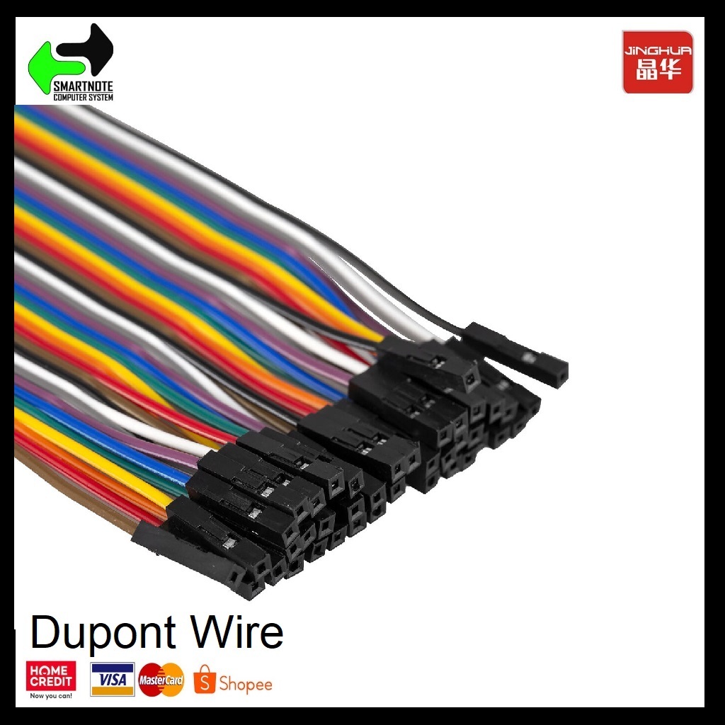 Dupont Wire Cable Dupont Line Jumper Wire 20CM | Shopee Philippines