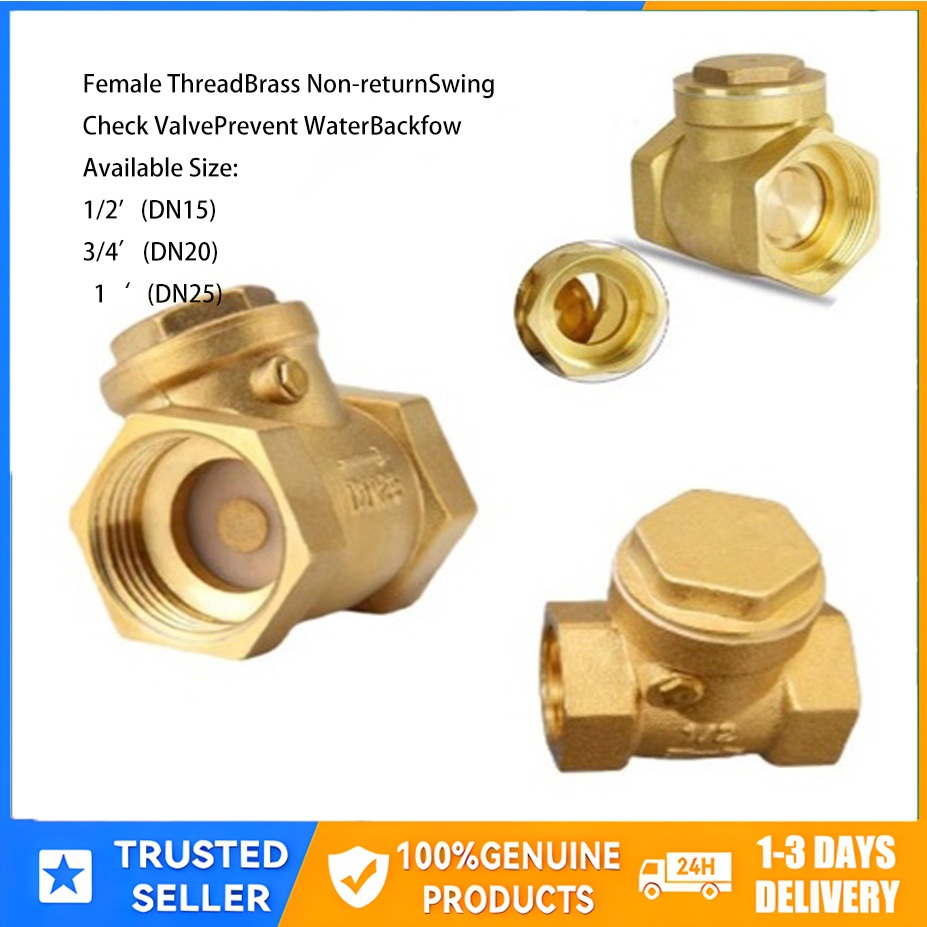 Brass Copper Swing valve ,check valve Thread Spring Vertical Pump ...