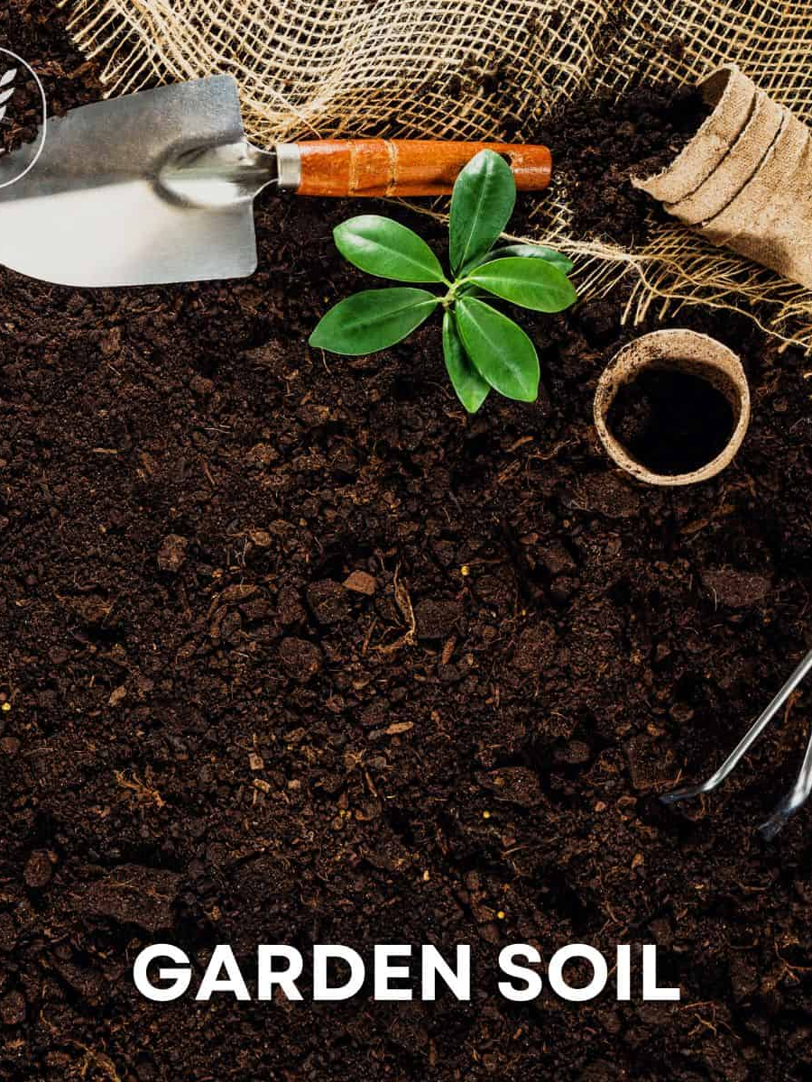 Quality Loam soil 100% with Organic PATABA,MIXTURE OF GARDEN SOIL ...