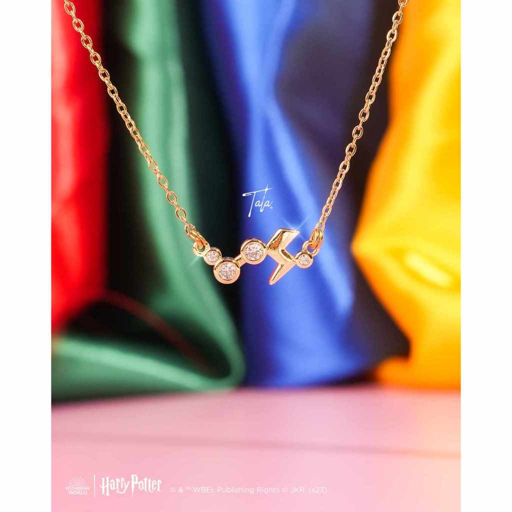 TALA By Kyla Harry Potter Collection - Harry Plus Gift Box Stainless ...