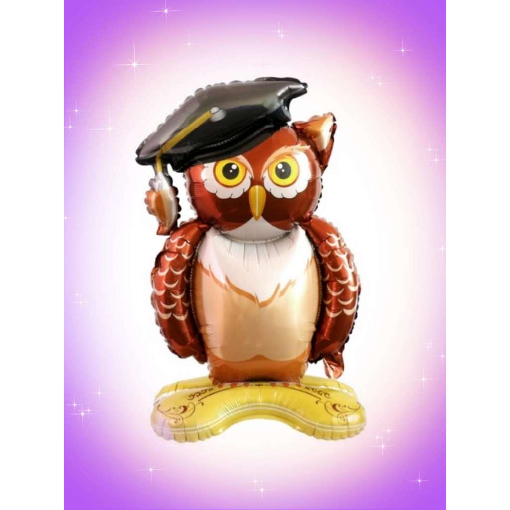 3D Base Graduate Dr Owl 35 inches Graduation Congrats Grad party ...