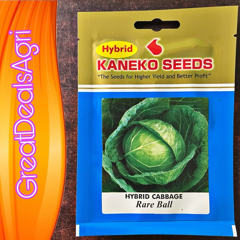 RARE BALL HYBRID CABBAGE SEEDS (1 GRAM) KANEKO SEEDS | Shopee Philippines