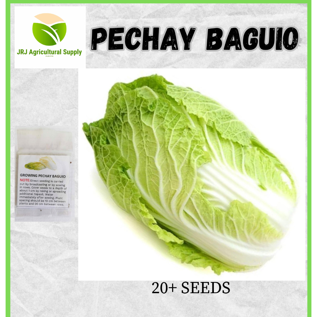 Pechay Baguio ( 30 Seeds ) - 1pack | Shopee Philippines