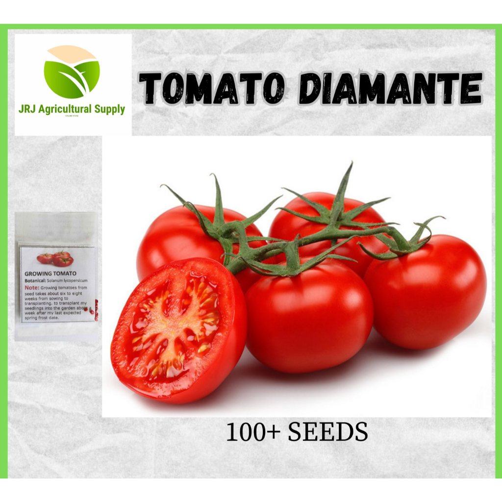 Tomato Super Rope - 80pcs seeds (1pack) | Shopee Philippines
