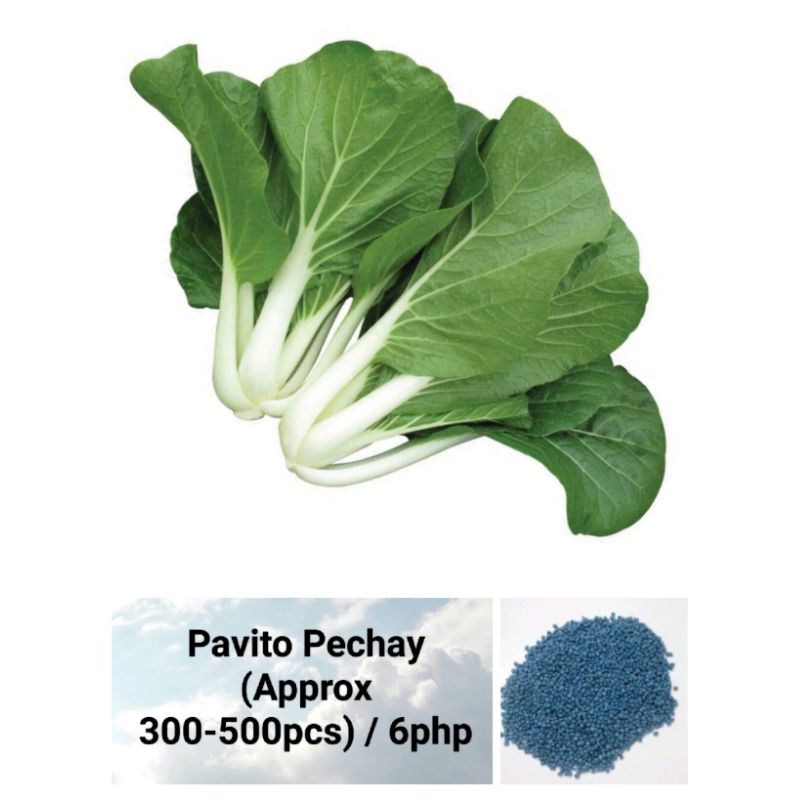 Pavito Pechay Seeds (approx: 300-500pcs) | Shopee Philippines