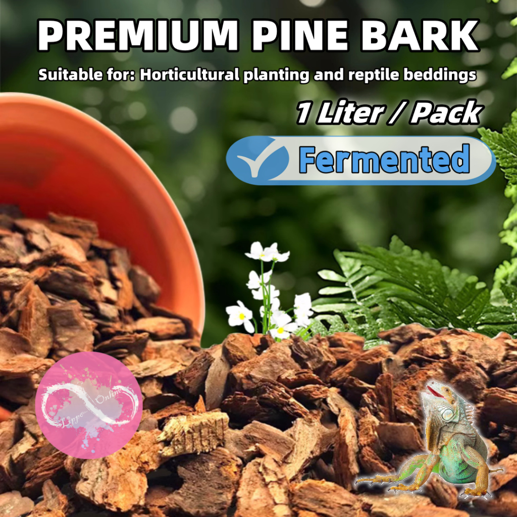 1 Litre Imported Fermented Pine Bark Substrate For Orchids, Aroids ...