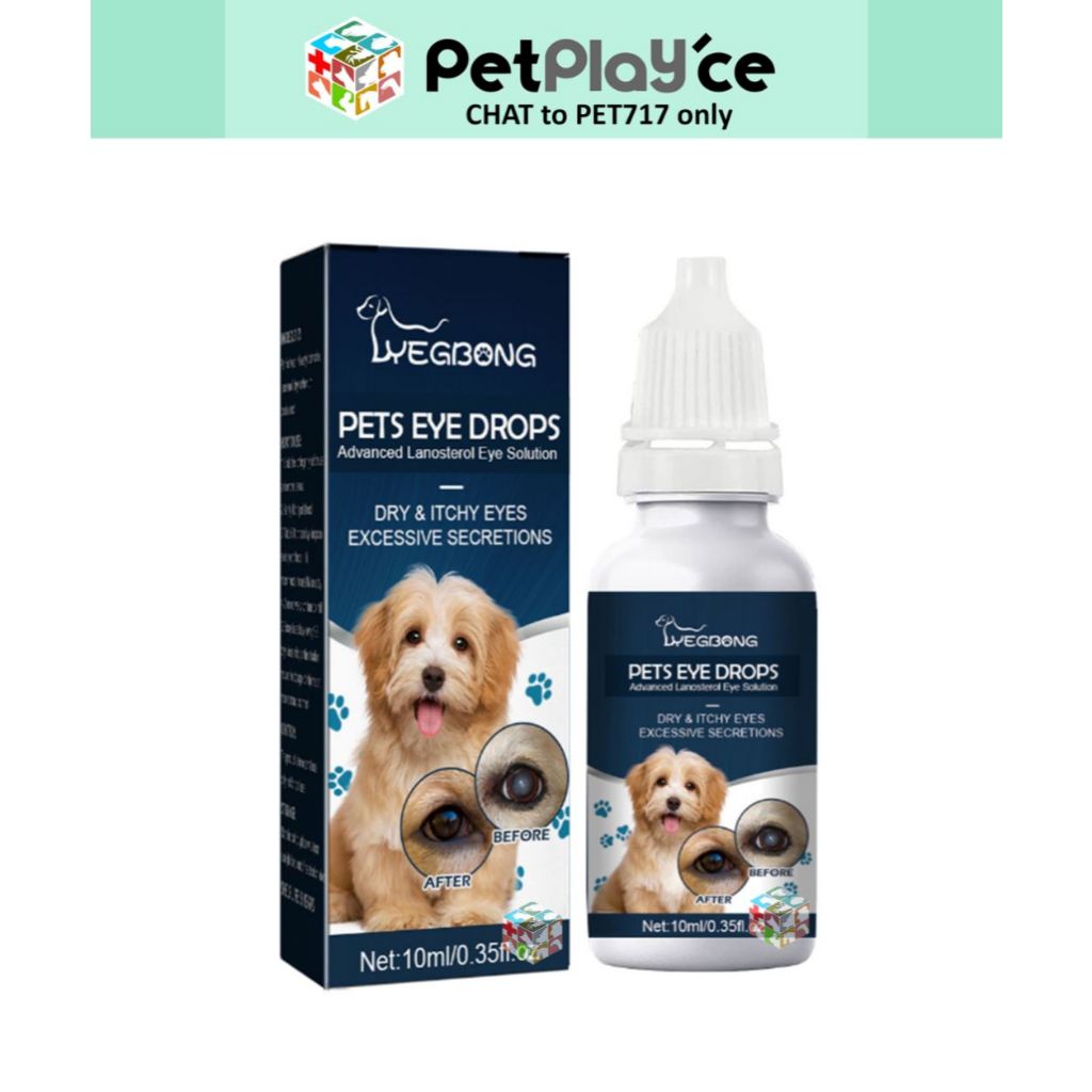 Pet Eye Drops 10ml Advanced Lanosterol Yegbong Eye Solution for Dogs ...