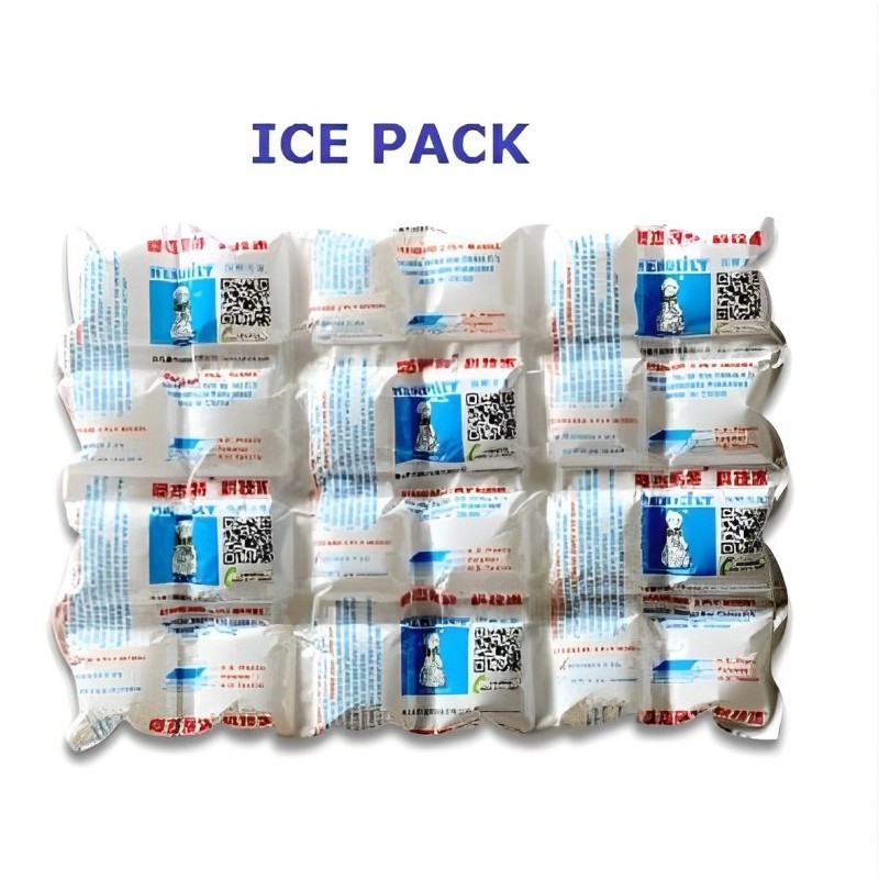 5/10 PCS 24grids Reusable Ice Pack fill water for Food Storage Physical ...