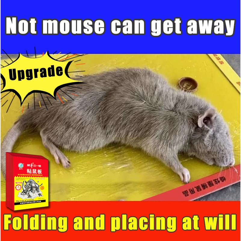 Large Size Sticky Mouse Trap Efficiency Sticky Mouse Board Bait Mouse ...
