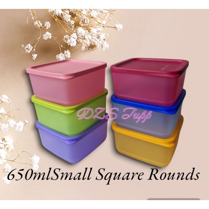 Tupperware Brands Small Square Rounds (Food Storage) | Shopee Philippines