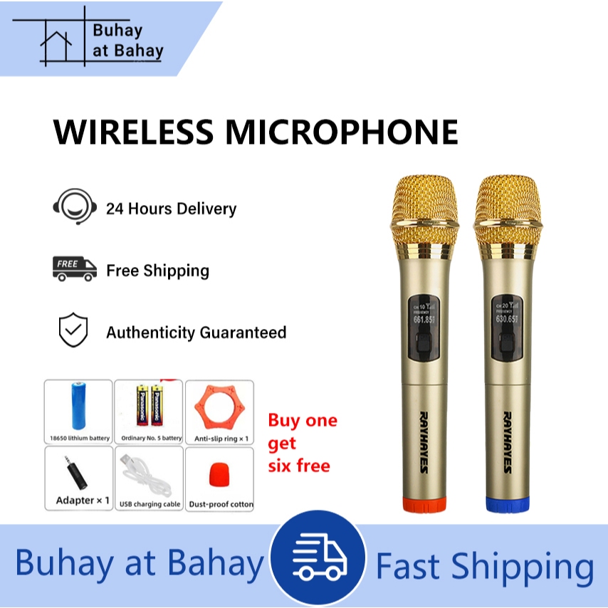 Rayhayes Wireless Microphone original For Videoke Dual Handheld ...