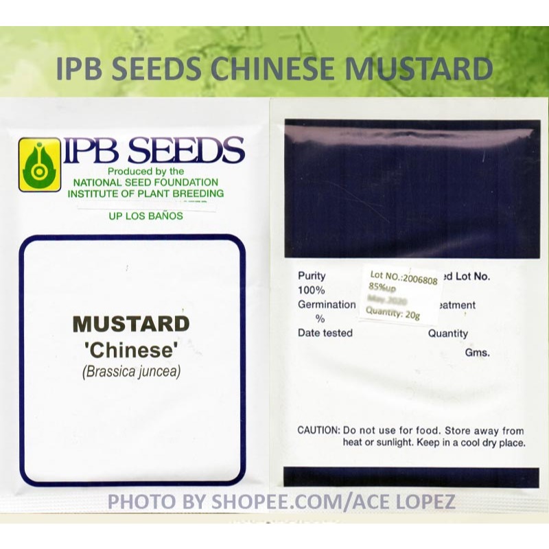 IPB UPLB Seeds Mustard 'Chinese' (Brassica Juncea) 20g als21207 ...