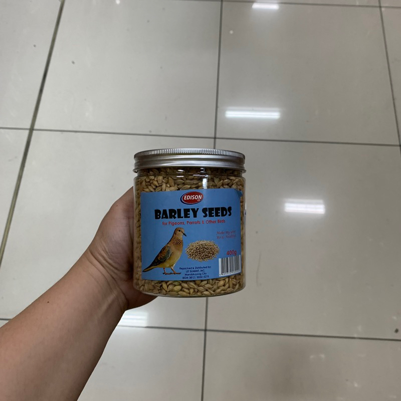 EDISON BARLEY SEEDS FOR PIGEONS PARROTS & OTHER BIRDS 400g | Shopee Philippines