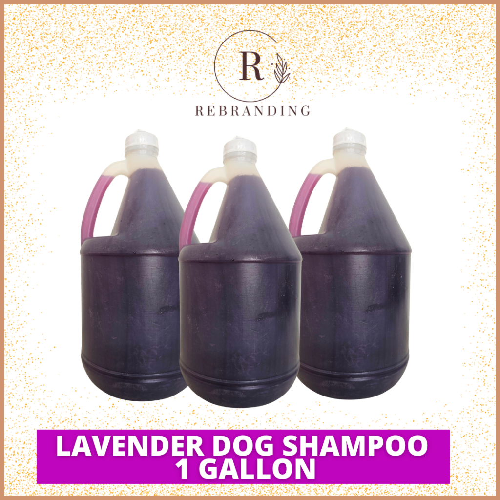 Rebrand Dog Shampoo Lavender 1 Gallon I Anti Tick & Flea I Anti ...