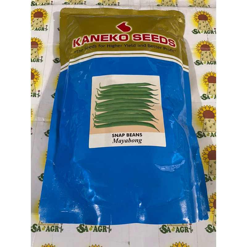 MAYABONG SNAP BEAN SEEDS (1kilo) | Shopee Philippines