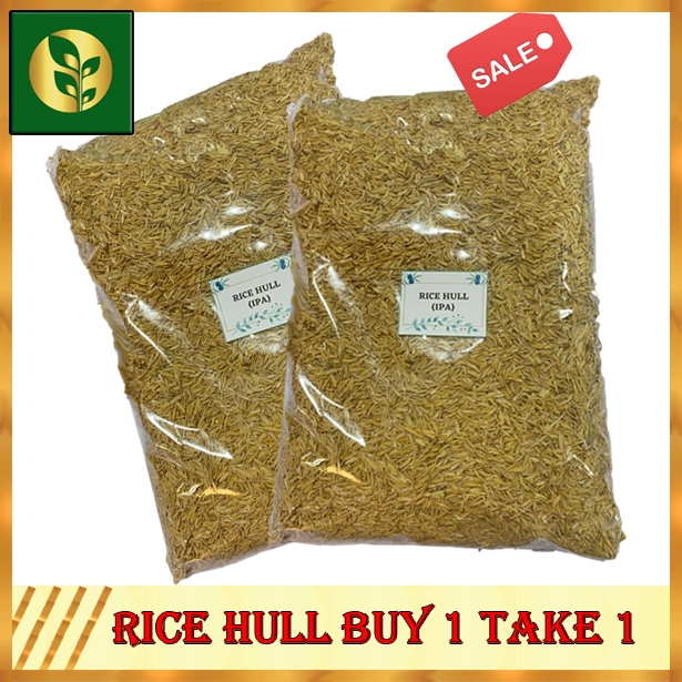 Rice Hull | IPA | Rice Hulls | Golden Plant and Seed Store | Shopee ...