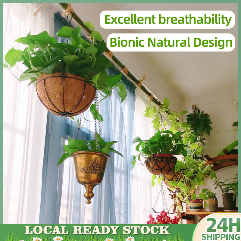 Hanging Pots For Plants Coconut Hanging Basket With Metal Chain Flower ...