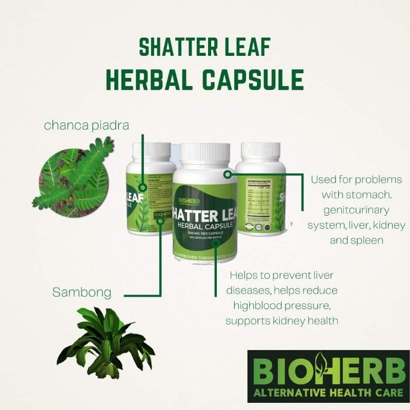 SHATTER LEAF HERBAL CAPSULE + 3 SACHET CLEANSING TEA | Shopee Philippines