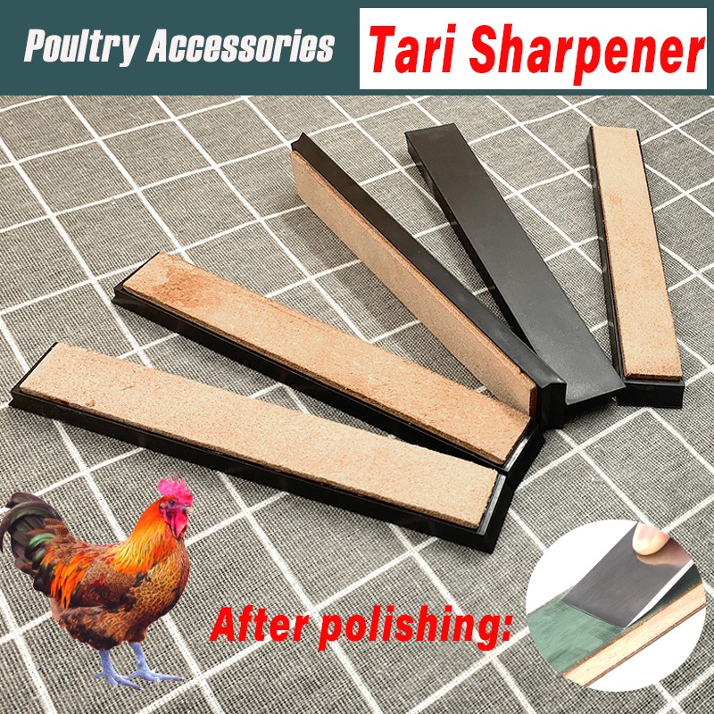 Tari Leather Sharpener Gaff Tari Sharpener Knife Sharpener for gamecock ... Tari Leather Sharpener Gaff Tari Sharpener Knife Sharpener for gamecock ...