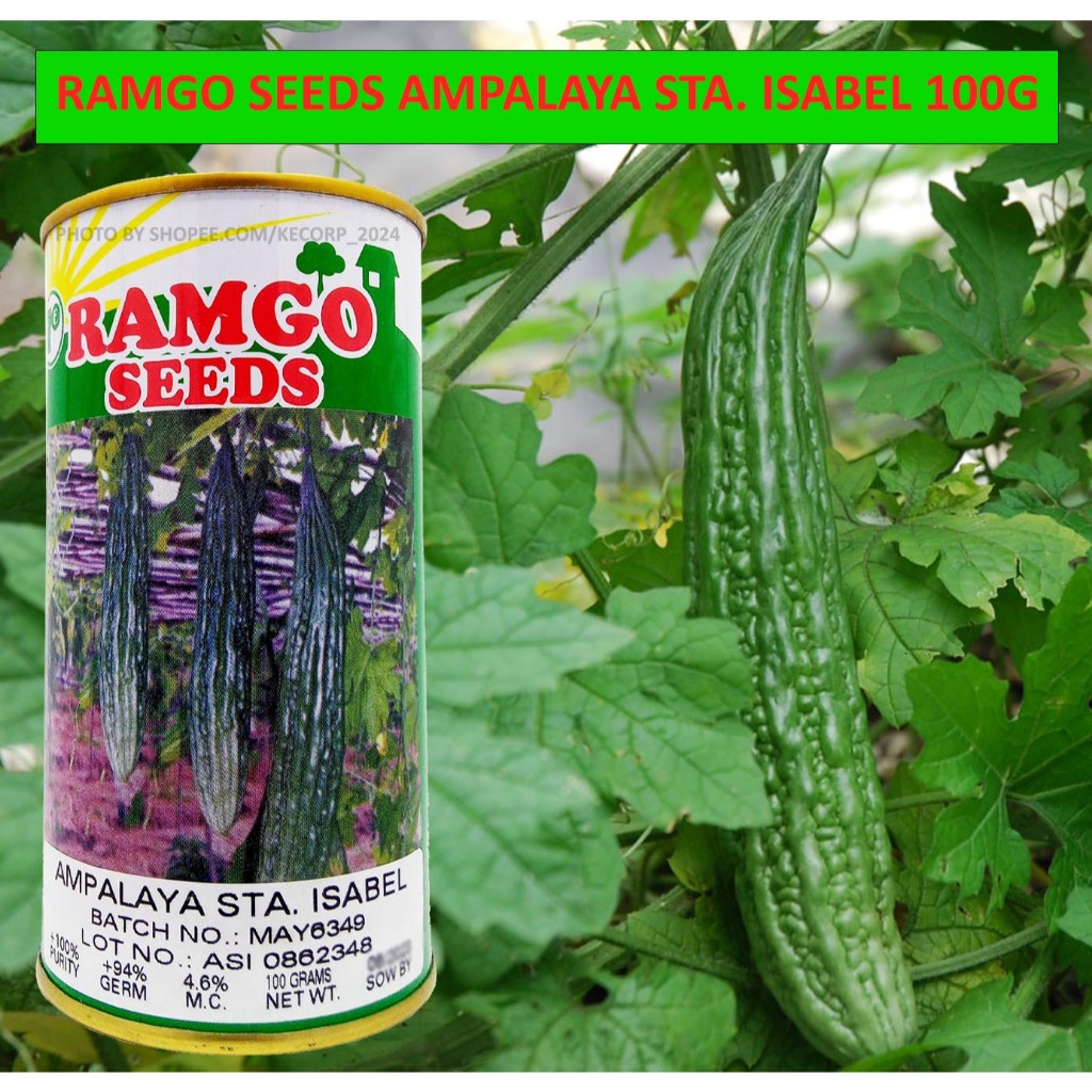 Ramgo Seeds Tin Can Ampalaya Sta. Isabel 100g_kc241207 | Shopee Philippines