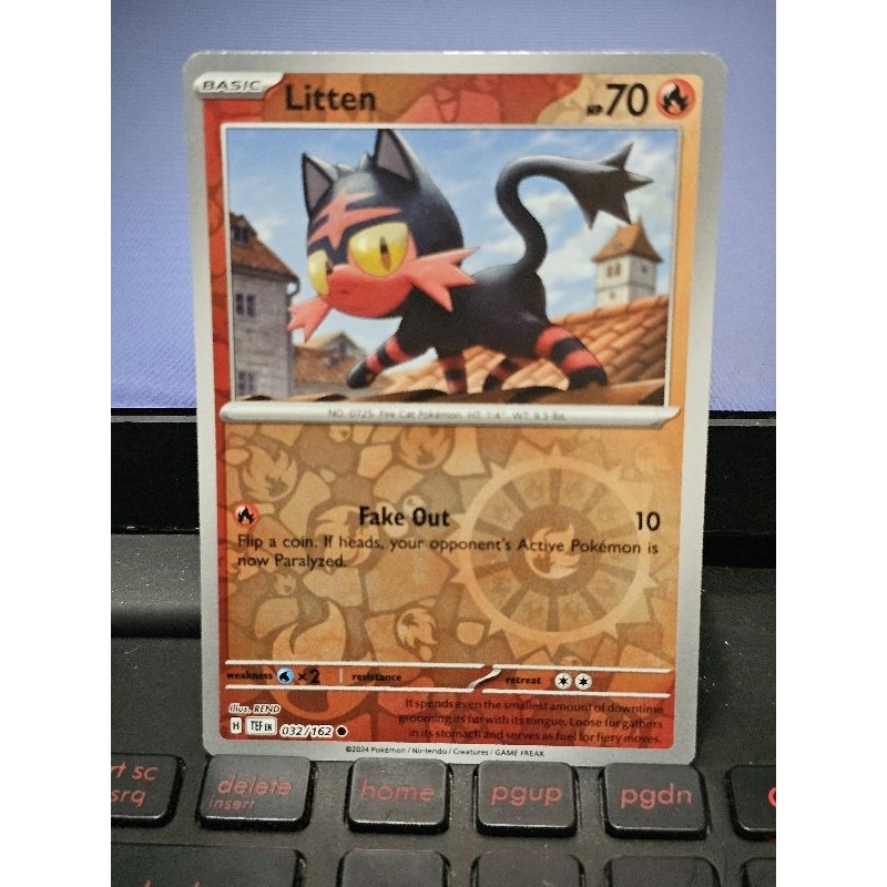 Litten - 032/162 - Common Reverse Holo Scarlet & Violet: Temporal ...