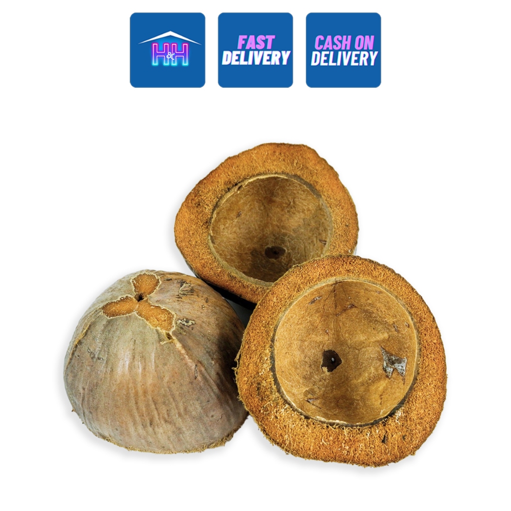 H&H Coconut Husk Bunot- Multipurpose Bao Manual Floor Polisher A3890 ...