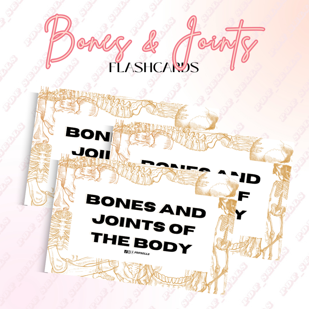 Skeletal system -bones and joints flashcards | Shopee Philippines