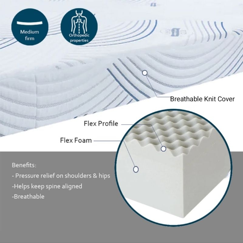 Mandaue Foam - Orthopaedic Egg Crate Foam Mattress (FLEX PROFILE PREMIUM) 10 Years Warranty ...