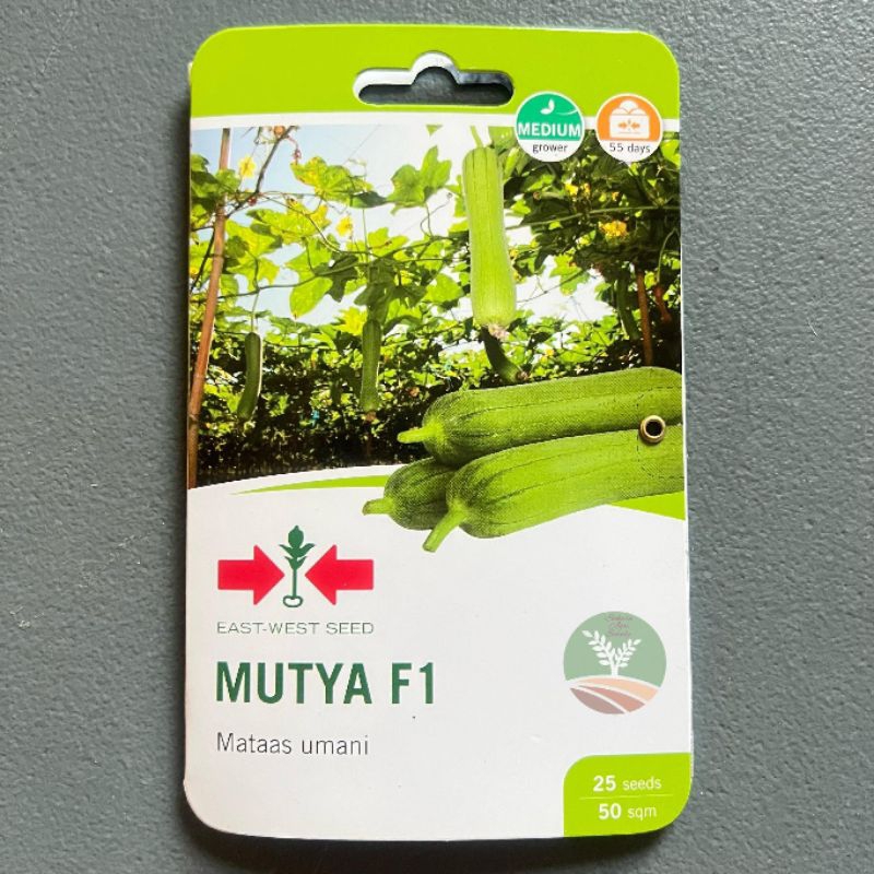 EAST WEST MUTYA F1 PATOLA SEED HYBRID SPONGE GOURD (KINIS) VEGETABLE ...