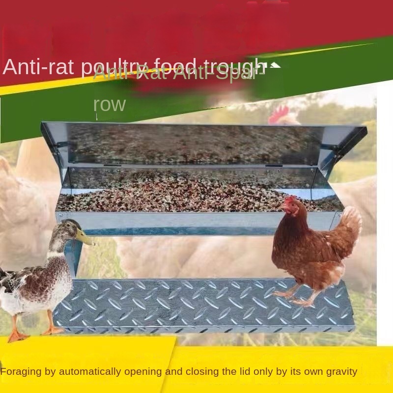 Fully automatic rain, rodent, and bird proof chicken feed trough feed ...