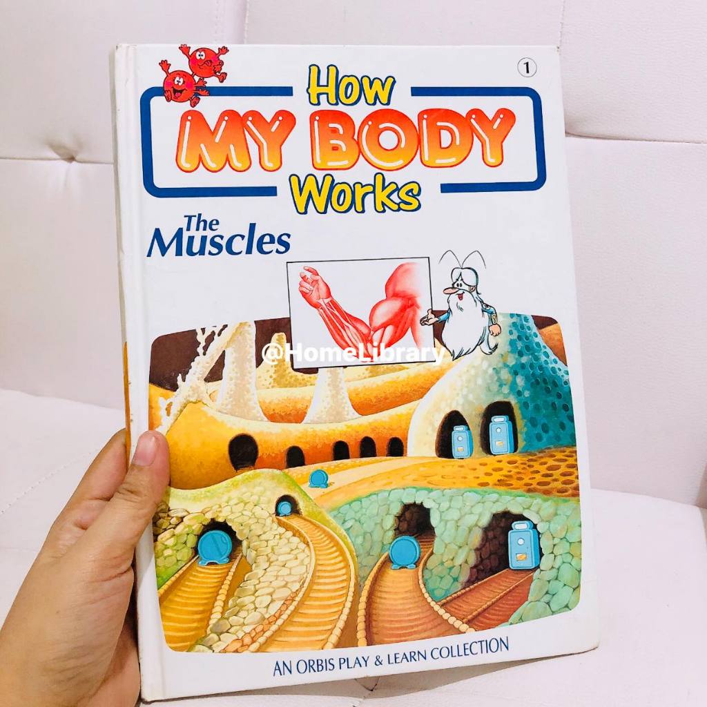 00041-HOME LIBRARY | HOW MY BODY WORKS-THE MUSCLES | HB | EDUCATIONAL ...