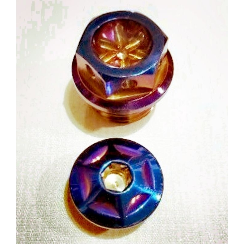 Motorcycle Engine Oil Bolt and Gear Oil Bolt. | Shopee Philippines