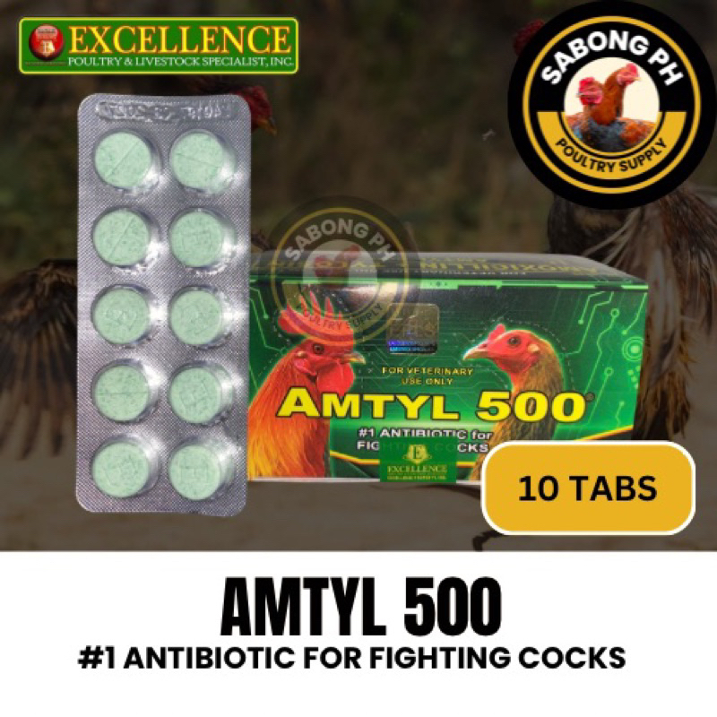 Amtyl 500 10 Tablets Banig Tingi | Shopee Philippines