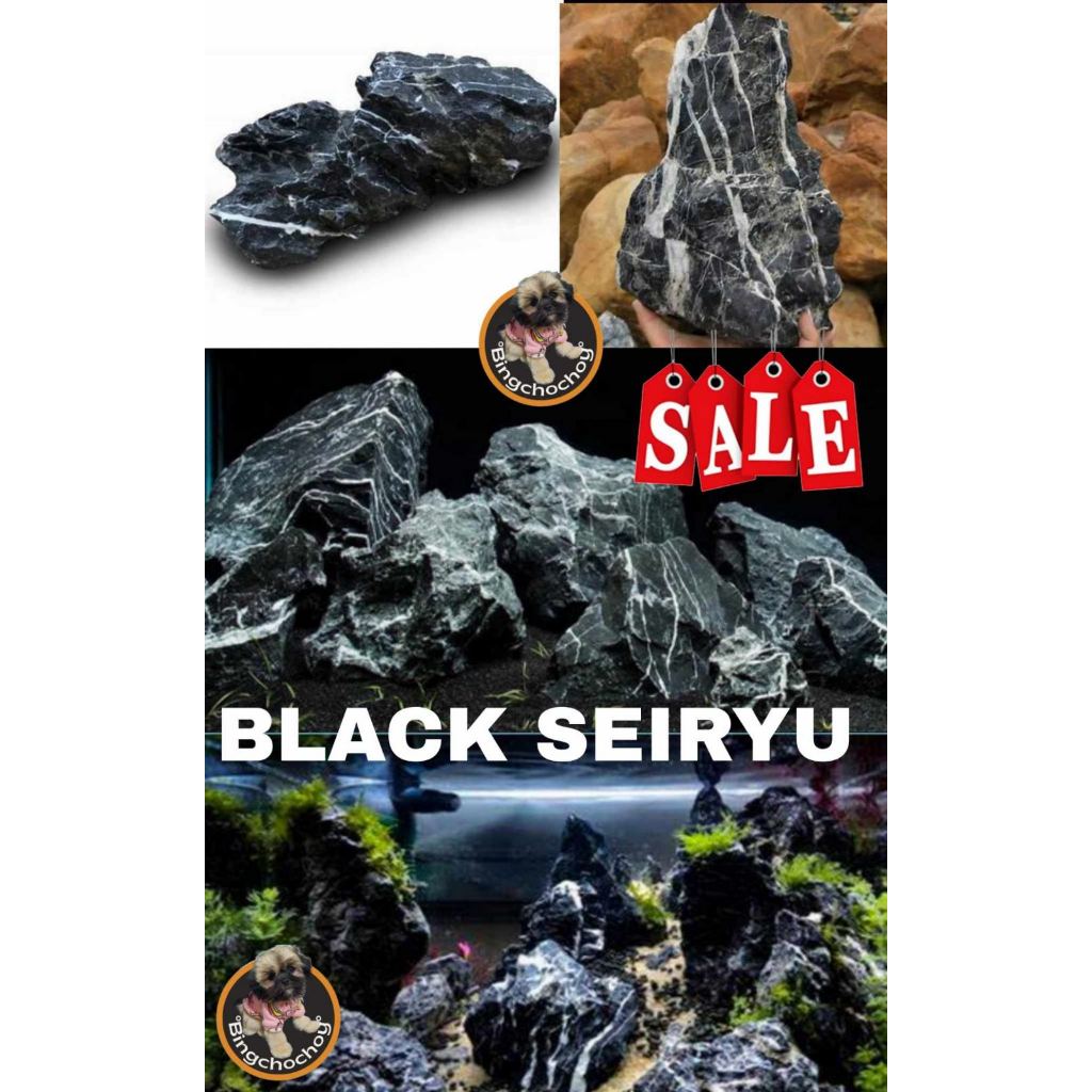 Black Seiryu Stone (1KILO) for aquascaping terrarium gardening bonsai ...