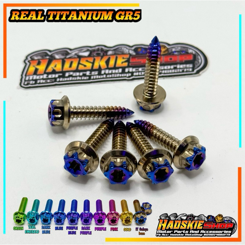 REAL TITANIUM GR5 5x25 SCREW FOR AIRBOX IT SALAYA BURN LOOK (Sold per ...