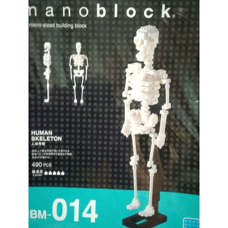 Kawanda Nanoblock Human Skeleton (NBM-014) Micro Building Block Kit ...