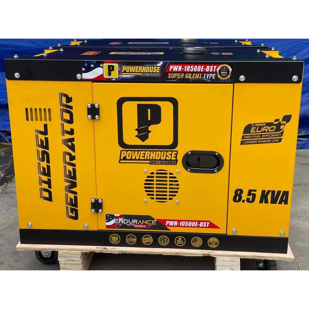 POWERHOUSE Diesel Generator -Electric & Recoil start High fuel ...